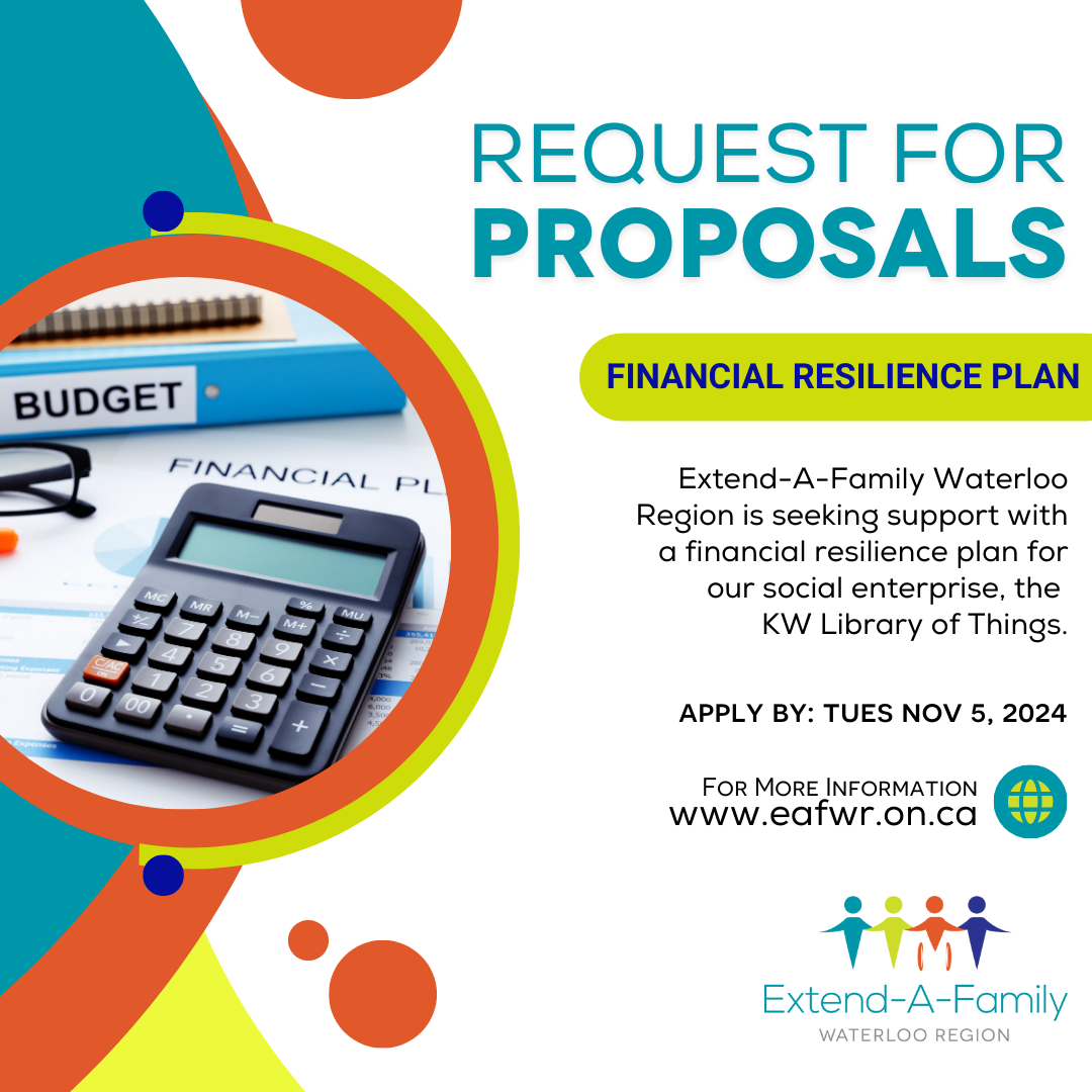 RFP - Financial Resilience Plan